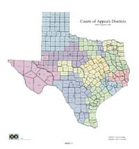 The Texas Judicial System | TLR Foundation