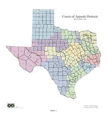 The Texas Judicial System | TLR Foundation