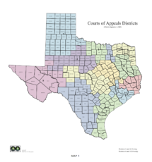 The Texas Judicial System | TLR Foundation